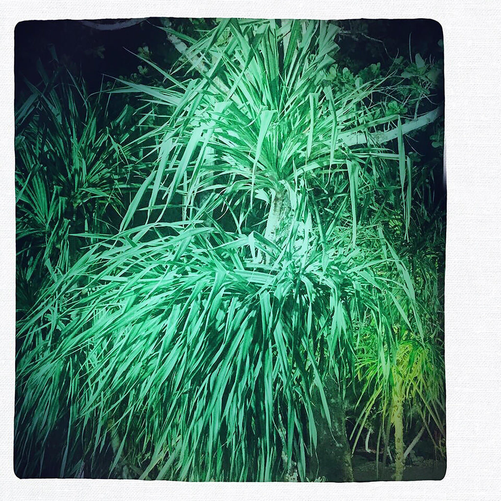 kalu-yala ASSET LIBRARY – PAOM