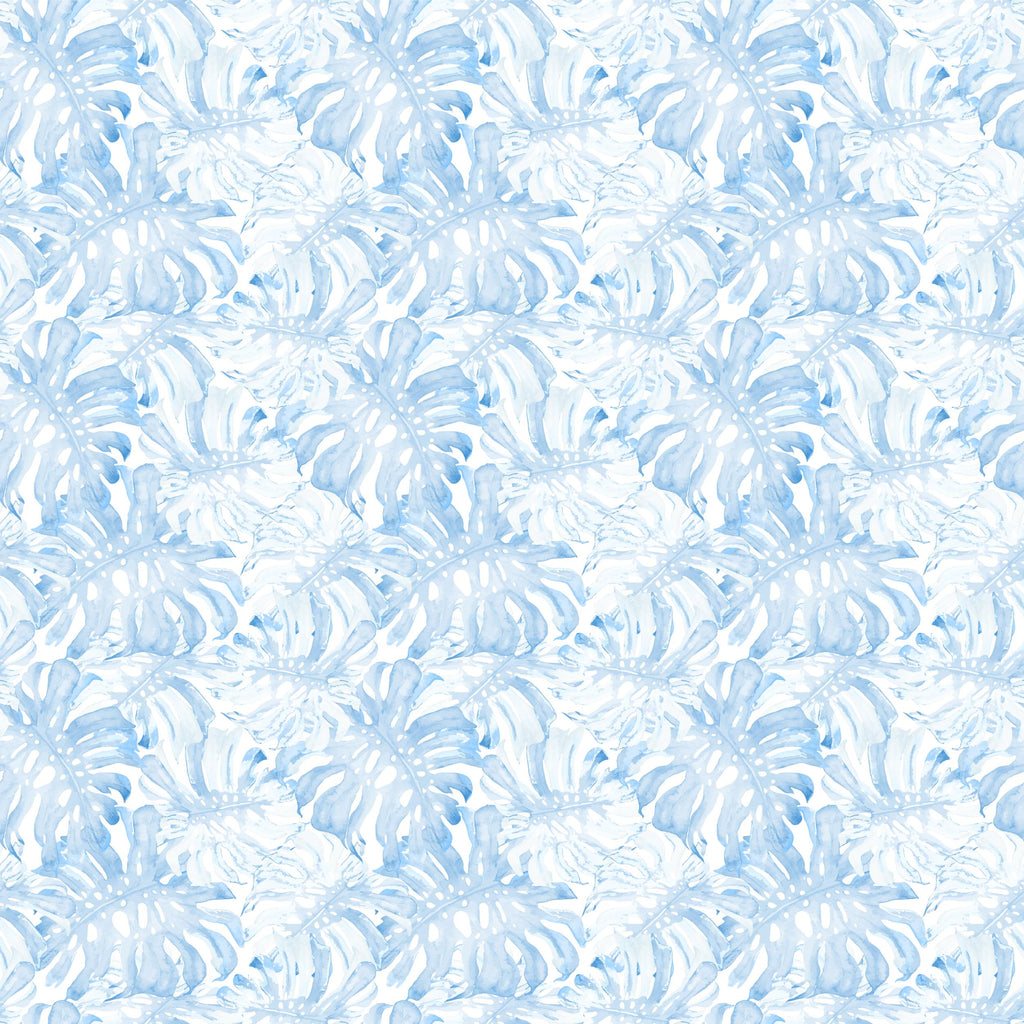 whitney-moore ASSET LIBRARY – PAOM